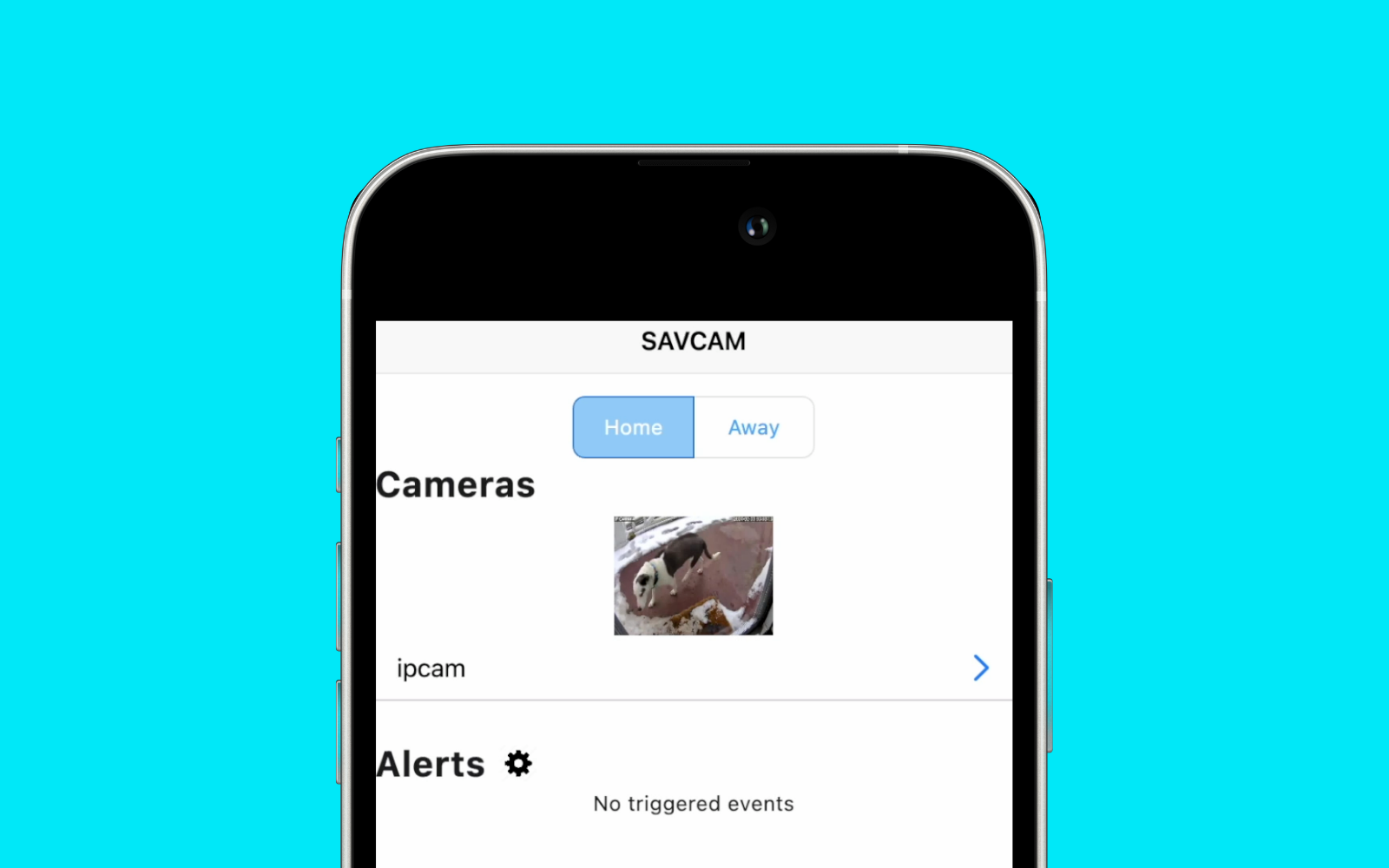 Build your own security camera system: A step-by-step guide | Viam